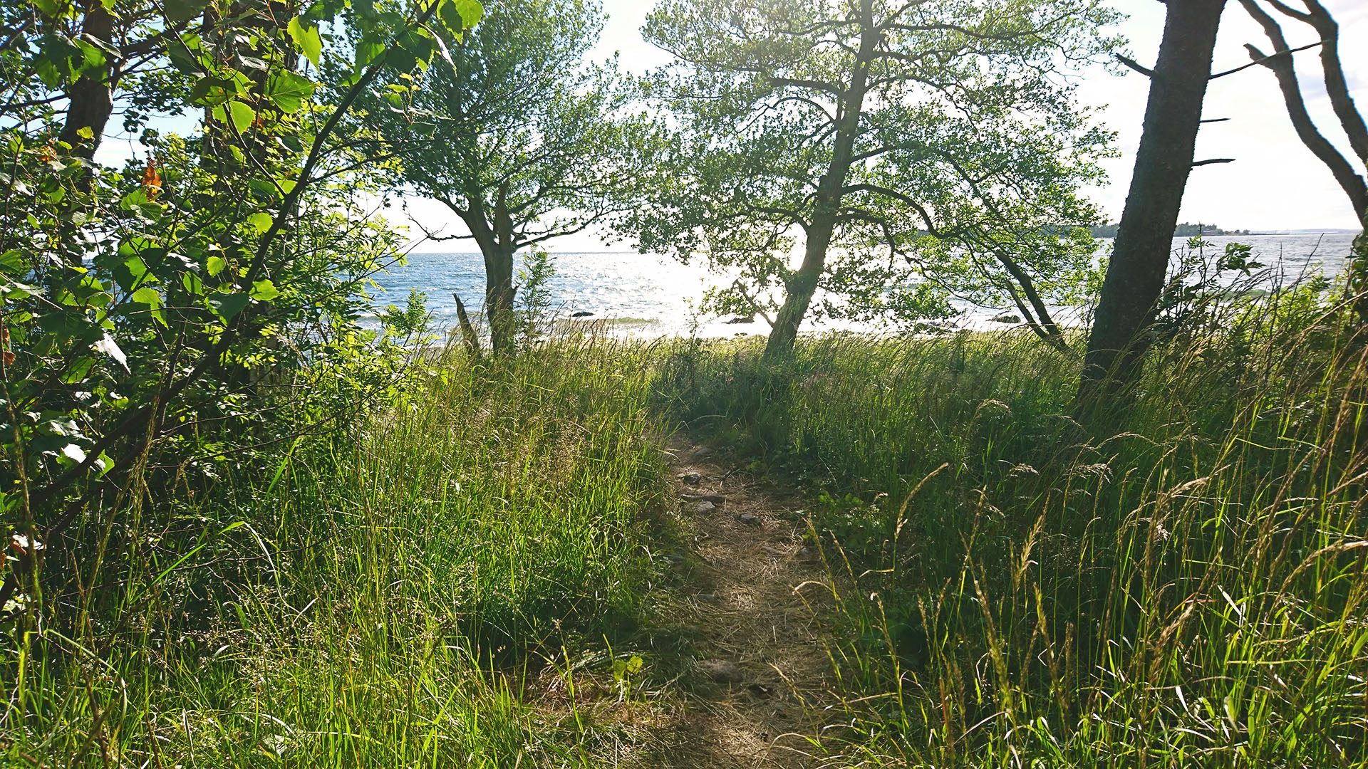 Ekosysteemipalvelut aluesuunnittelussa – Nomaji maisema-arkkitehdit